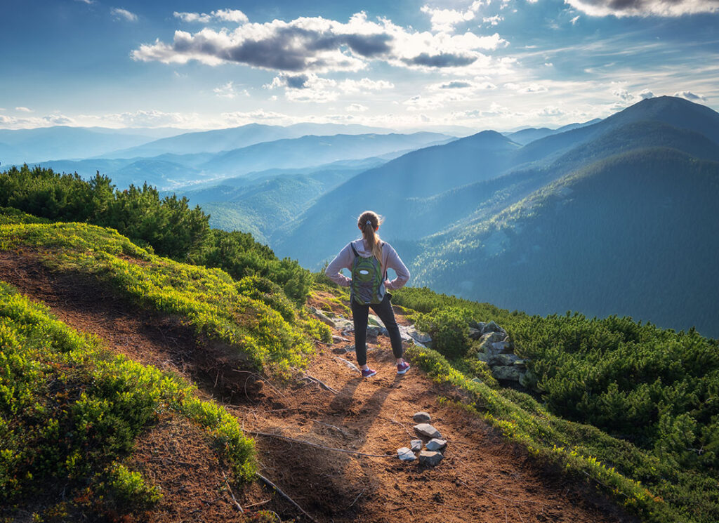 Employee Benefits - Mountain States Insurance Group